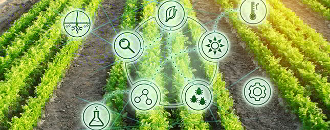 Leanpath 12.3 Initiative update: partnering on research with SESYNC