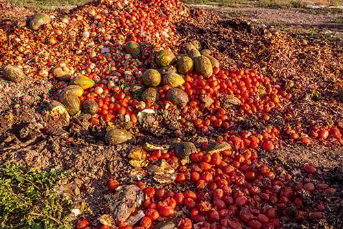 UN report: the world is wasting over 1 billion tons of food every year ...