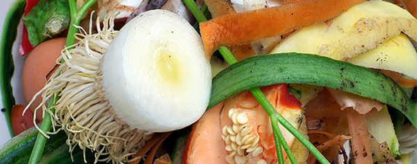 How to repurpose some of the most commonly wasted foods